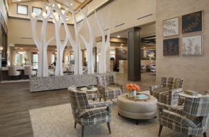Environments for Aging | The Future of Senior Living Design